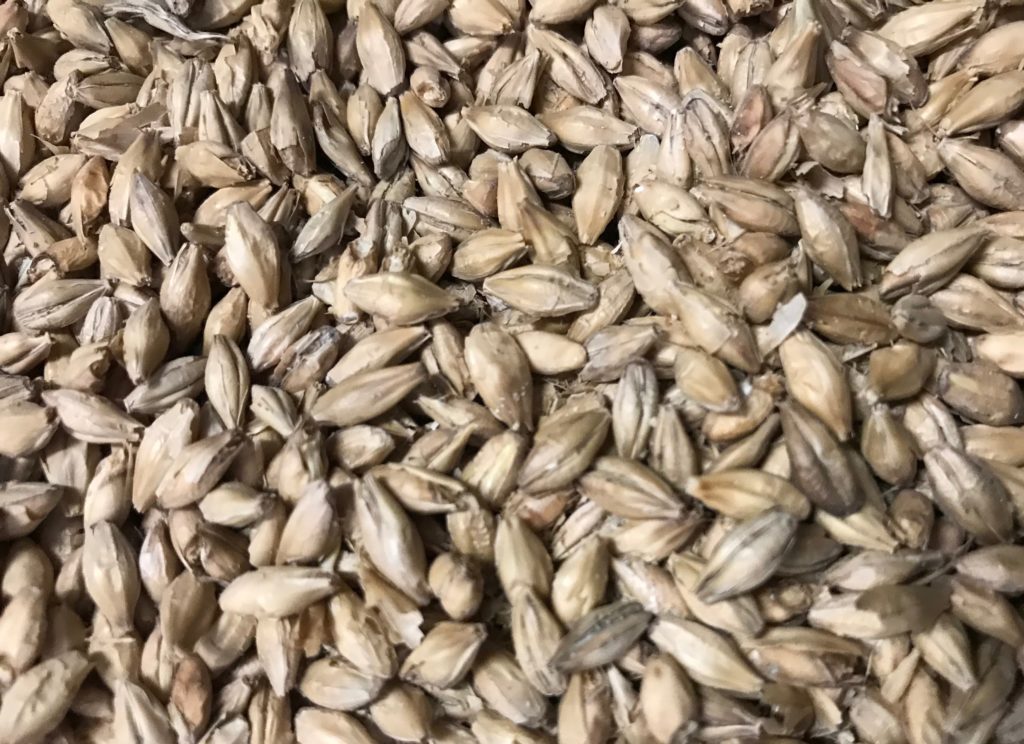 Summit Brewing Company Celebrates National Stout Month